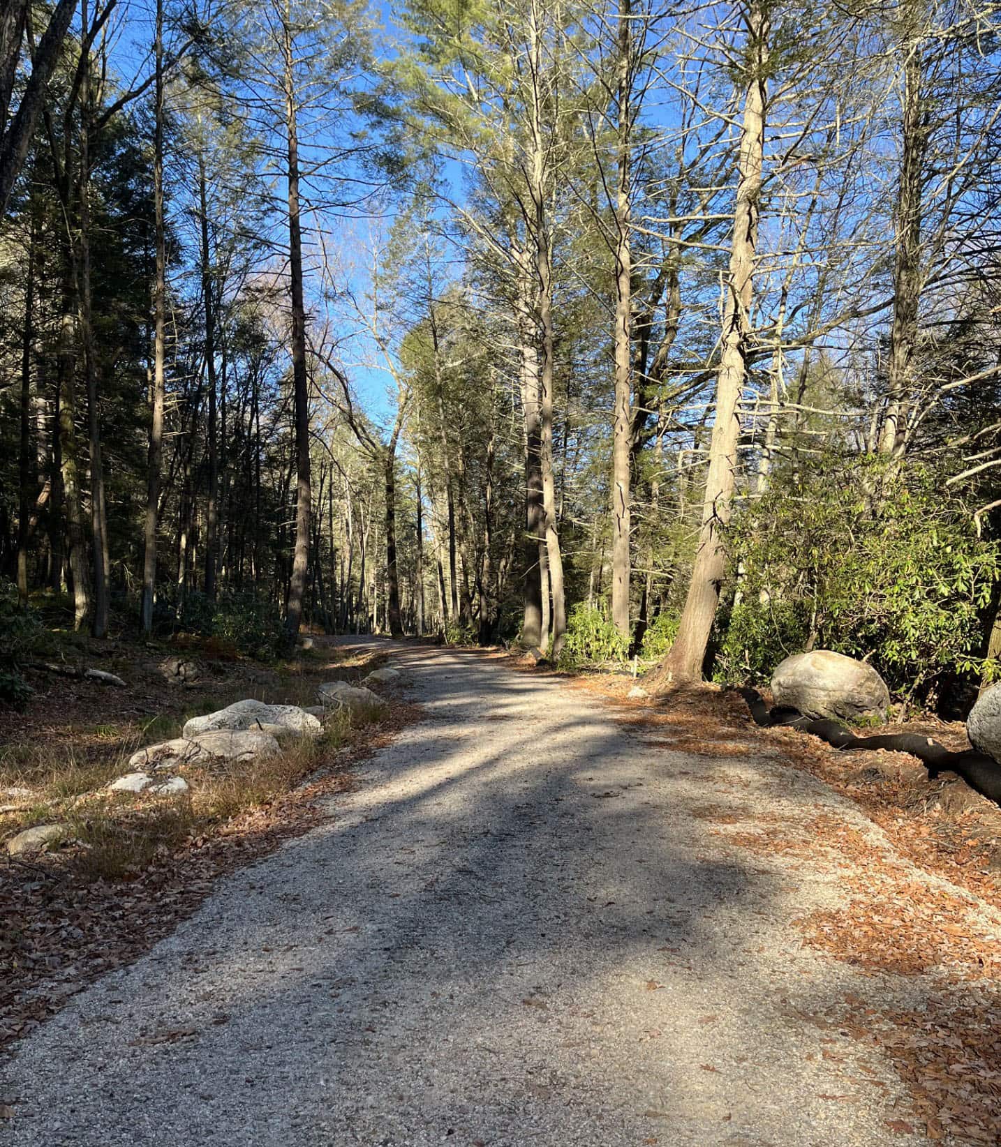 Delaware And Lehigh Trail Connection – Borough of Weatherly