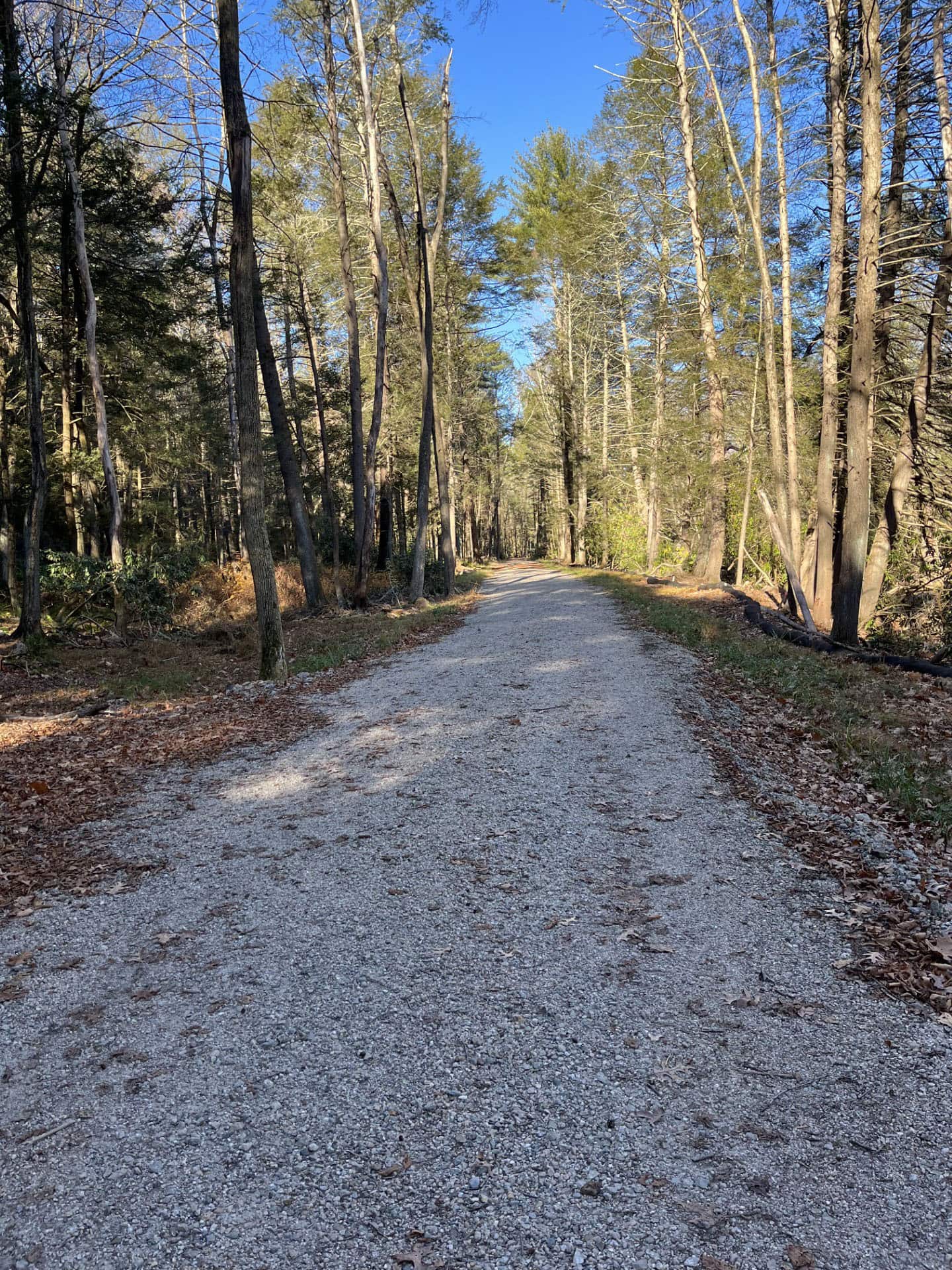 Delaware And Lehigh Trail Connection – Borough of Weatherly